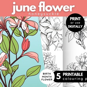 June Flower Coloring Pages, Printable Spring Flower Colouring Pages ...