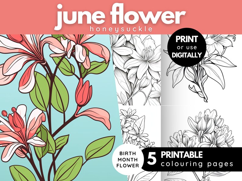 June Flower Coloring Pages, Printable Spring Flower Colouring Pages ...