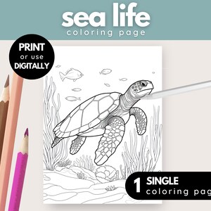 Sea Life Coloring Page, Underwater Coloring Sheet, Sea Turtle Coloring ...