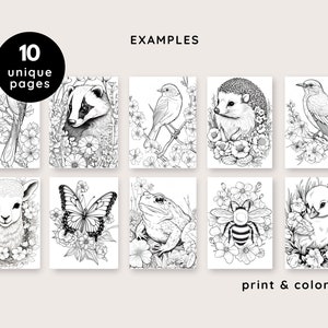 Mega Bundle Coloring Book, Coloring Pages for Adults, Spring Coloring ...