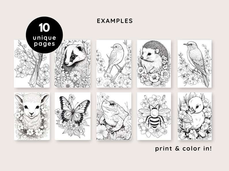 Mega Bundle Coloring Book, Coloring Pages for Adults, Spring Coloring ...