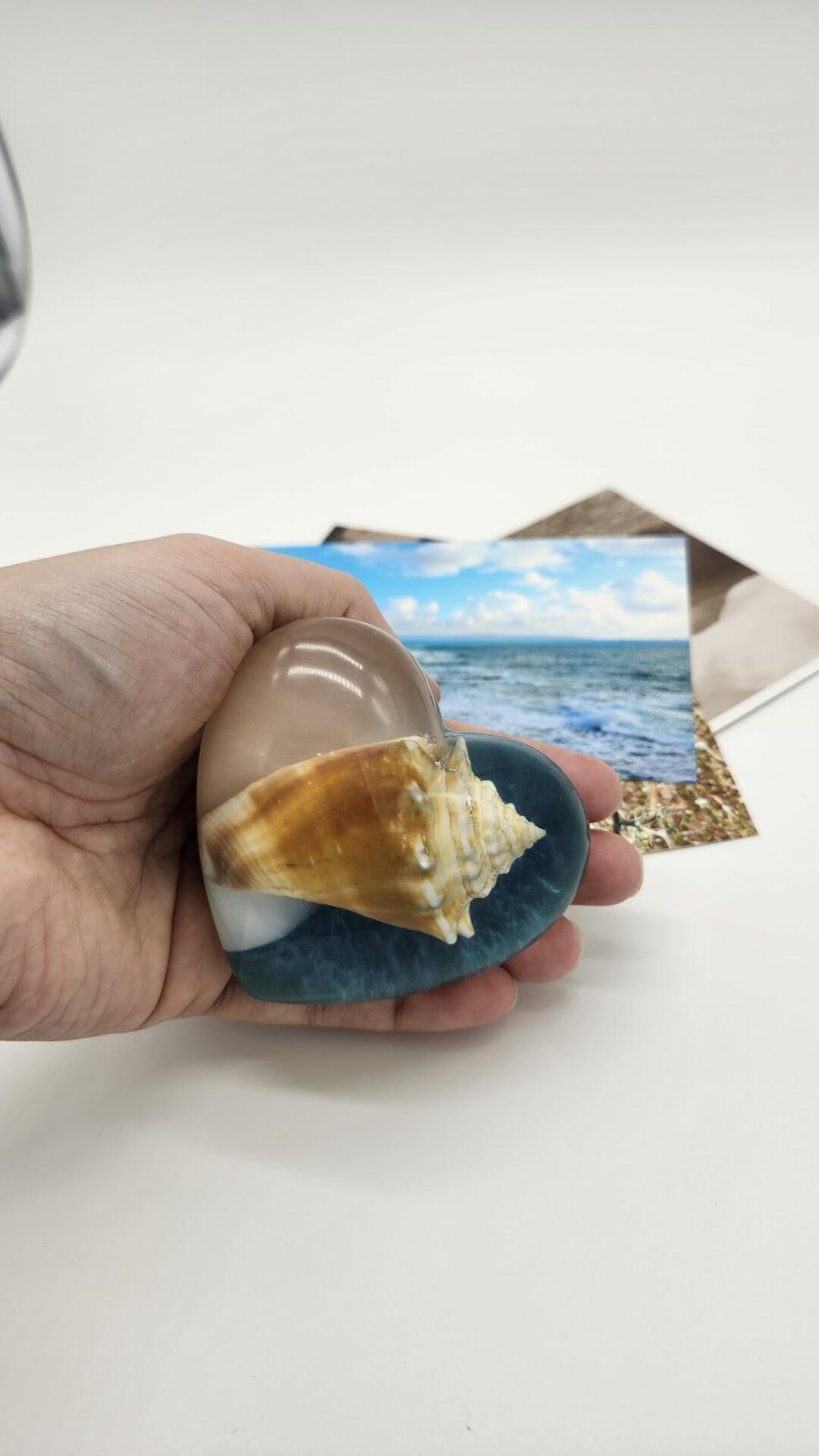 Conch Shell Heart Paperweight - Etsy
