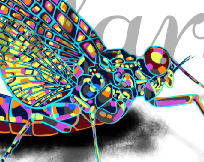Mayfly Art Print 8.5x11 - Etsy