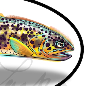 Apache Trout Laminated Oval Cut 3M Vinyl Decal - Etsy