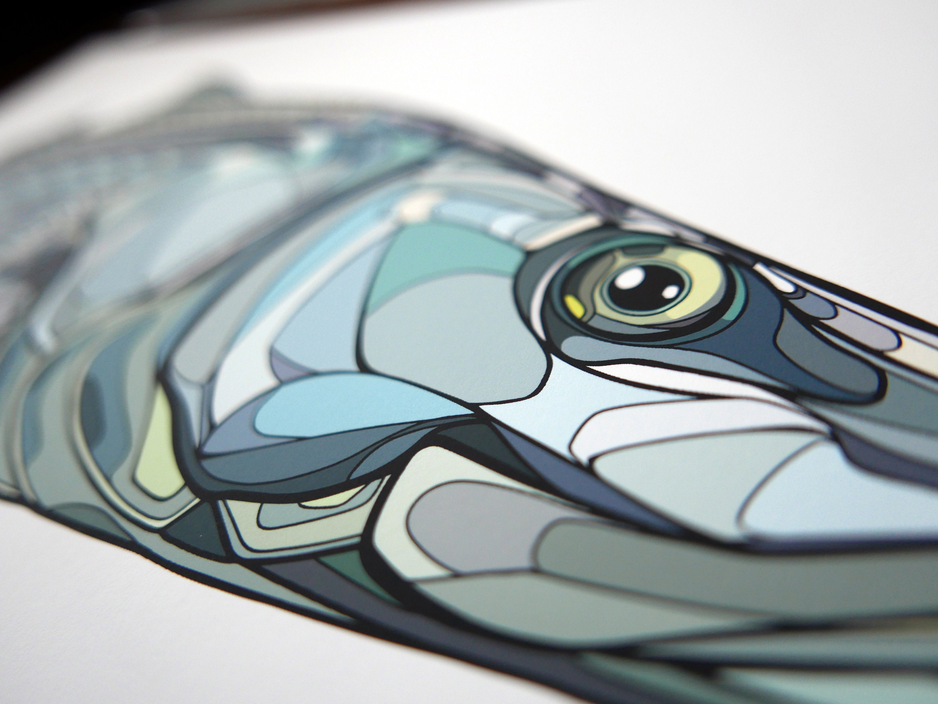 Archival Snook Limited Edition Giclee Print 11x17 | Etsy