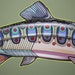 Archival Amago Trout Limited Edition Giclee Print 11x17 - Etsy