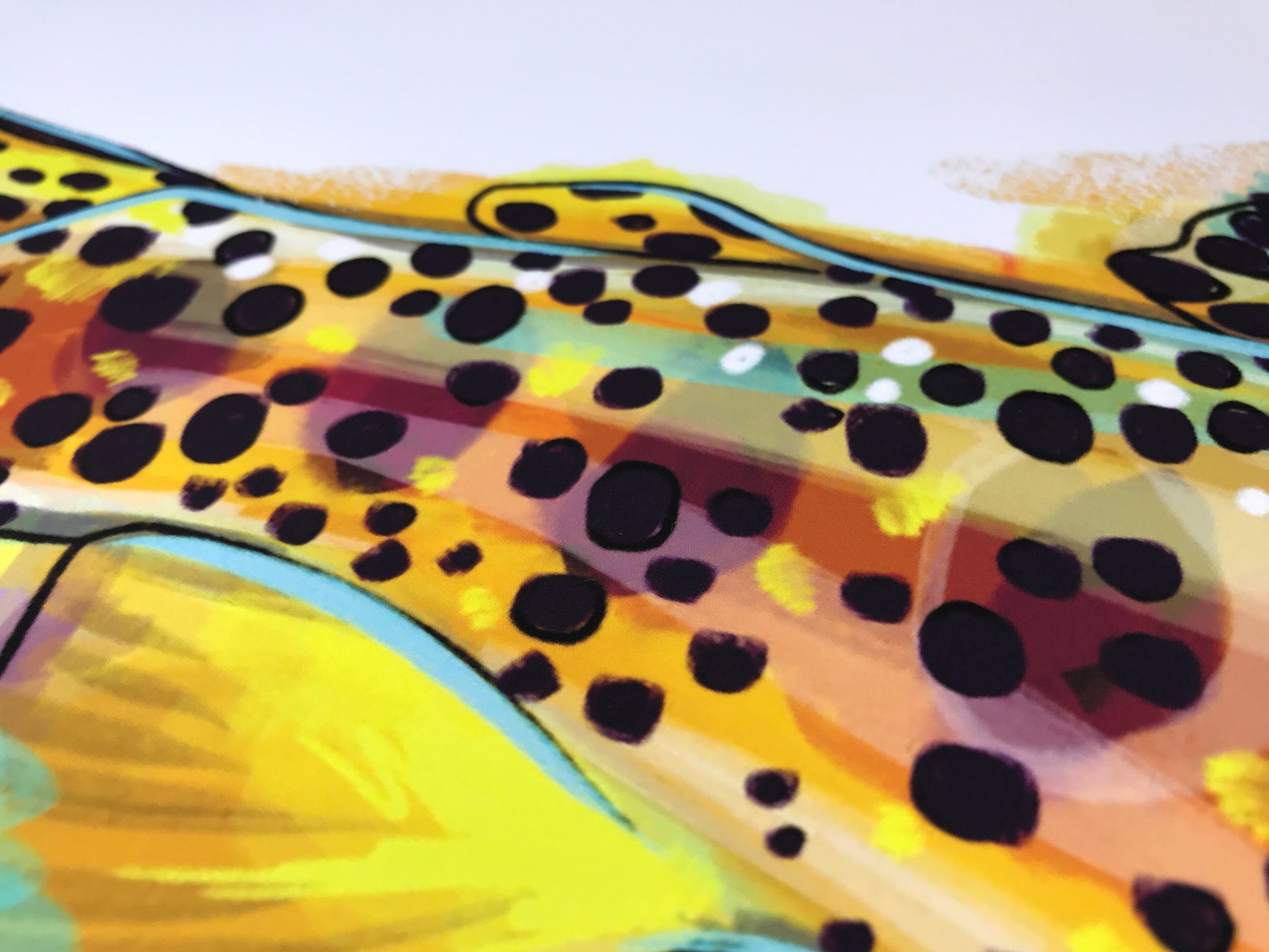 Archival Apache Trout Limited Edition Giclee Print 11x17 | Etsy