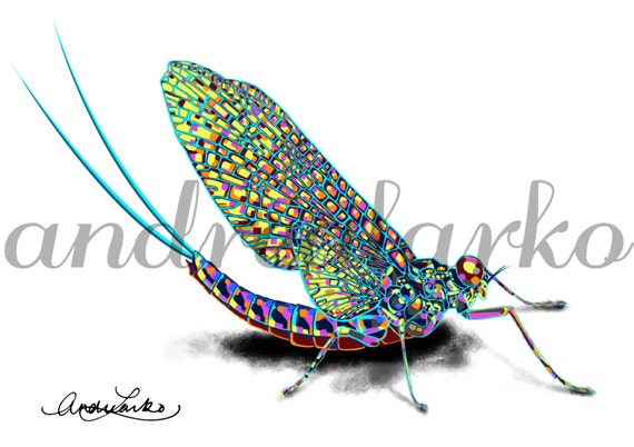 Mayfly