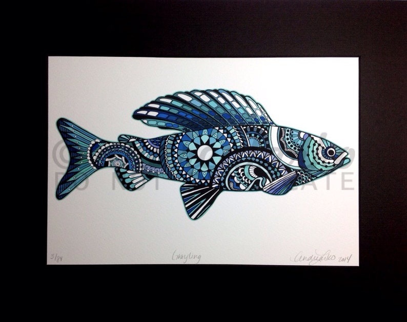 Limited Edition Grayling Zentangle Fish Art Gicleé Print - Etsy