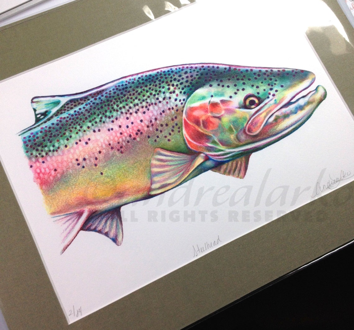 Limited Edition Steelhead Colored Pencil Art Gicleé Print - Etsy