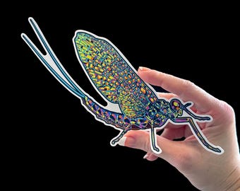 Mayfly Vinyl Decal (sticker) - Etsy