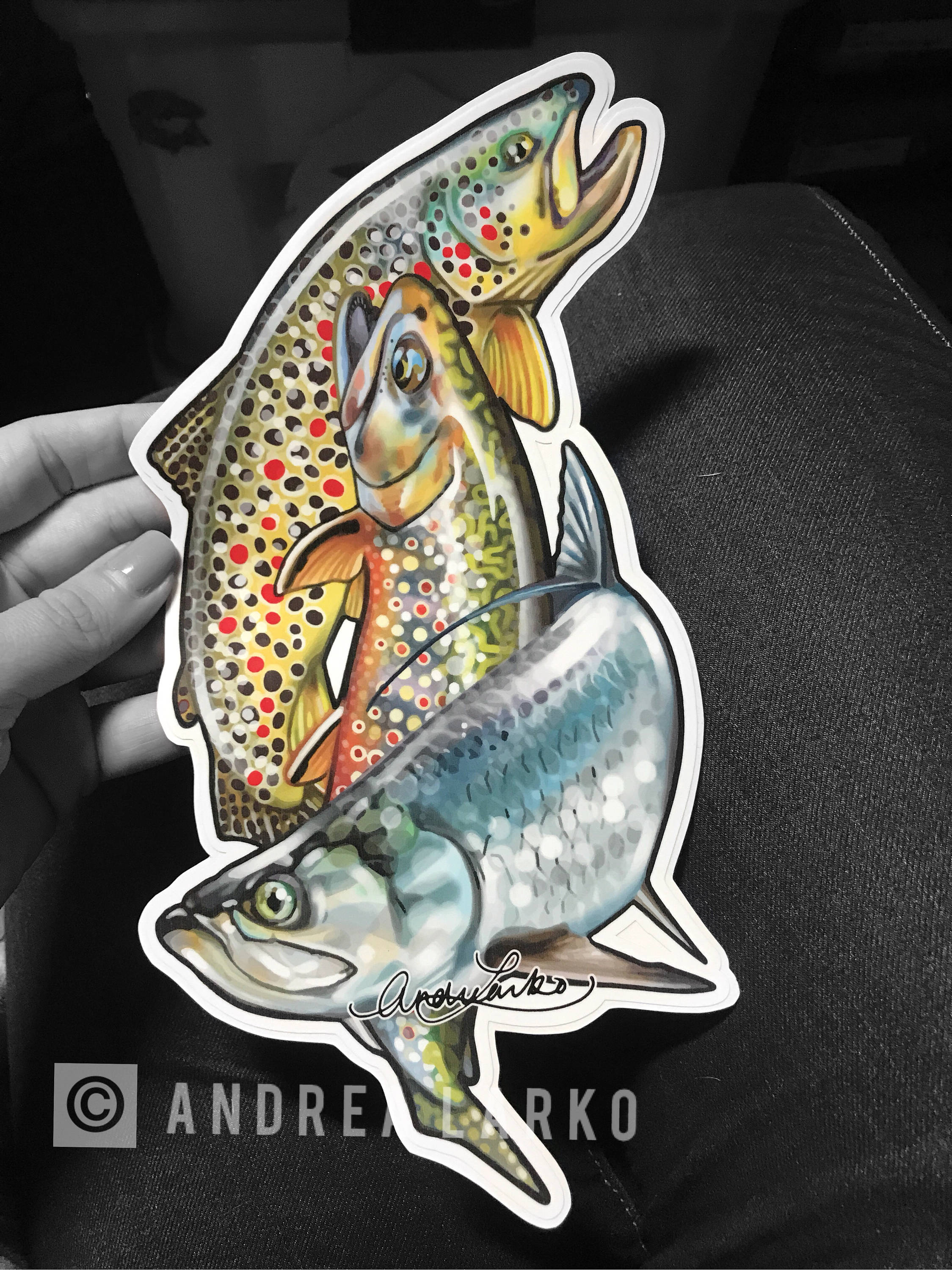 Brook Trout Cartoon