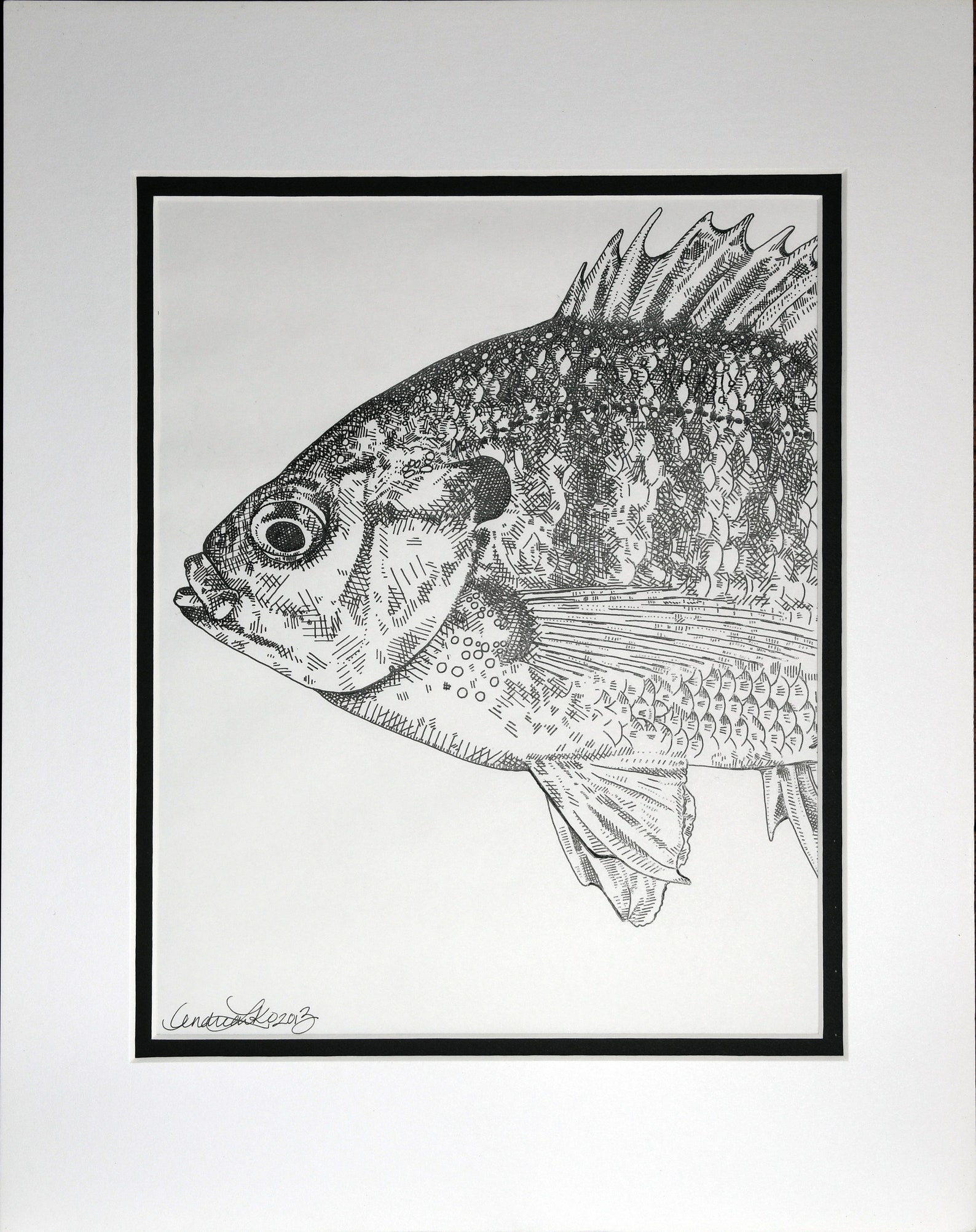 Original Bluegill Pen and Ink Sketch 8.5x11 - Etsy