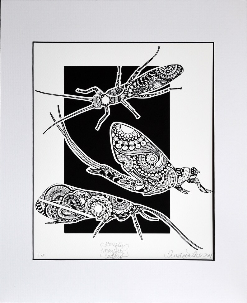 Limited Edition Caddis Stonefly Mayfly Zentangle Art Gicleé Print 8.5 ...