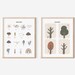 Set of 12 Neutral Boho Educational Posters, Toddler Preschool Classroom ...