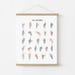 Sign Language Alphabet Pastel Print, Learn to Sign ASL Letters Poster ...