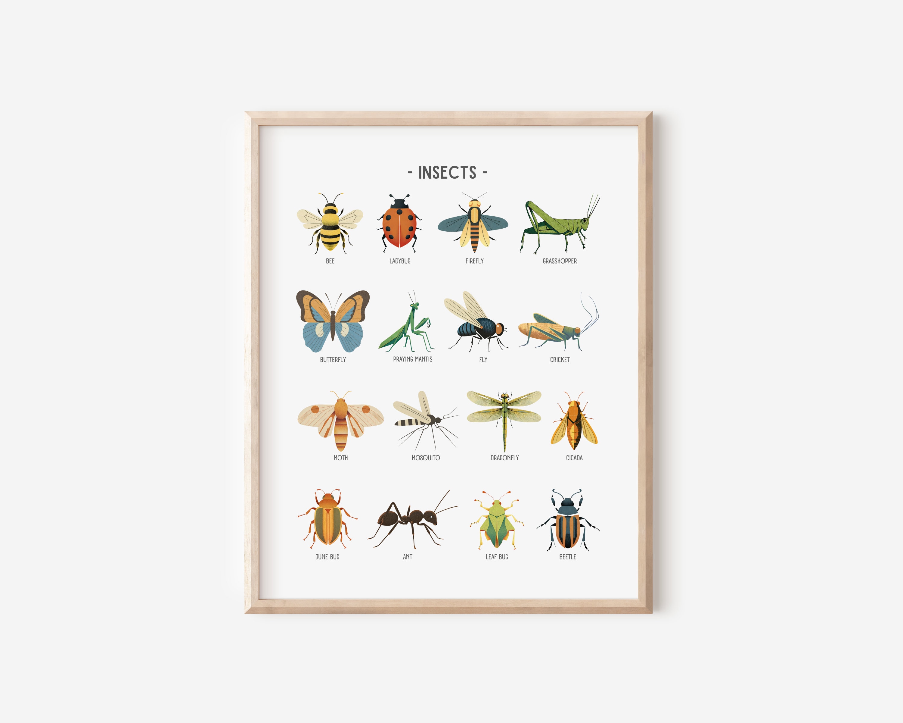 Insects Print, Bugs Poster, Educational Wall Art, Nature Homeschool ...