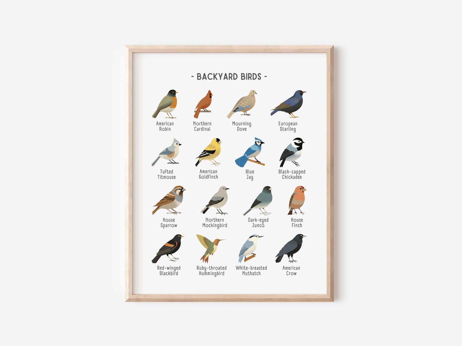 Backyard Birds Print, Bird Poster, Educational Wall Art, Nature ...