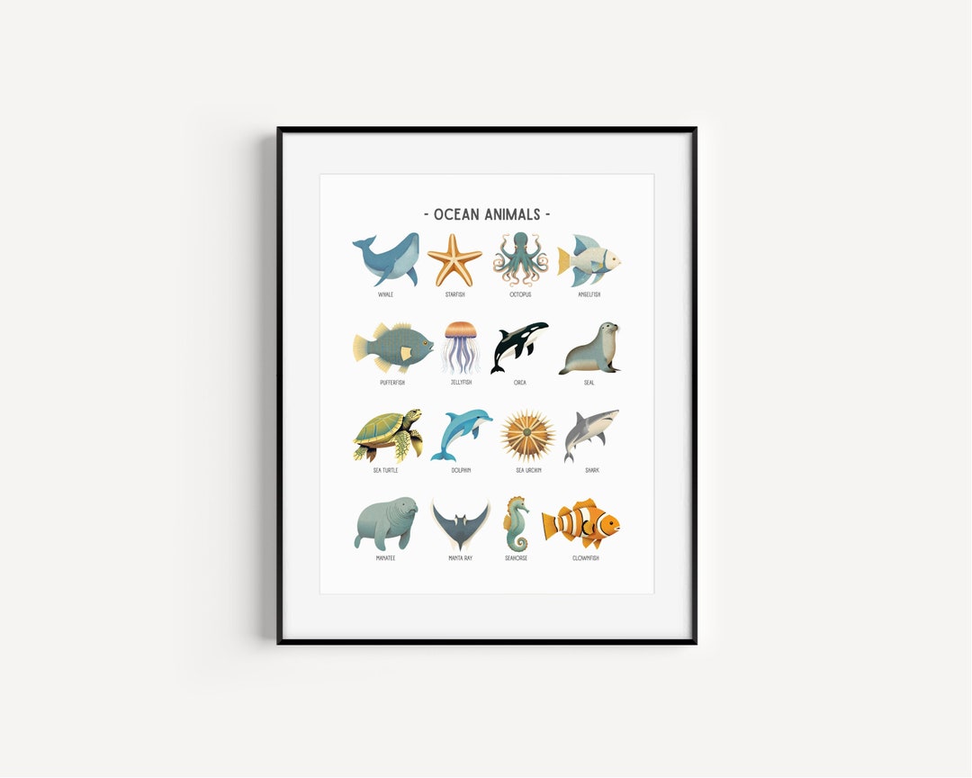 Ocean Animals Print, Educational Wall Art, Sea Creature Homeschool ...