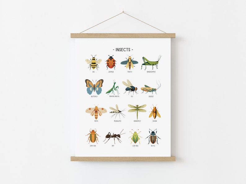 Insects Print, Bugs Poster, Educational Wall Art, Nature Homeschool ...