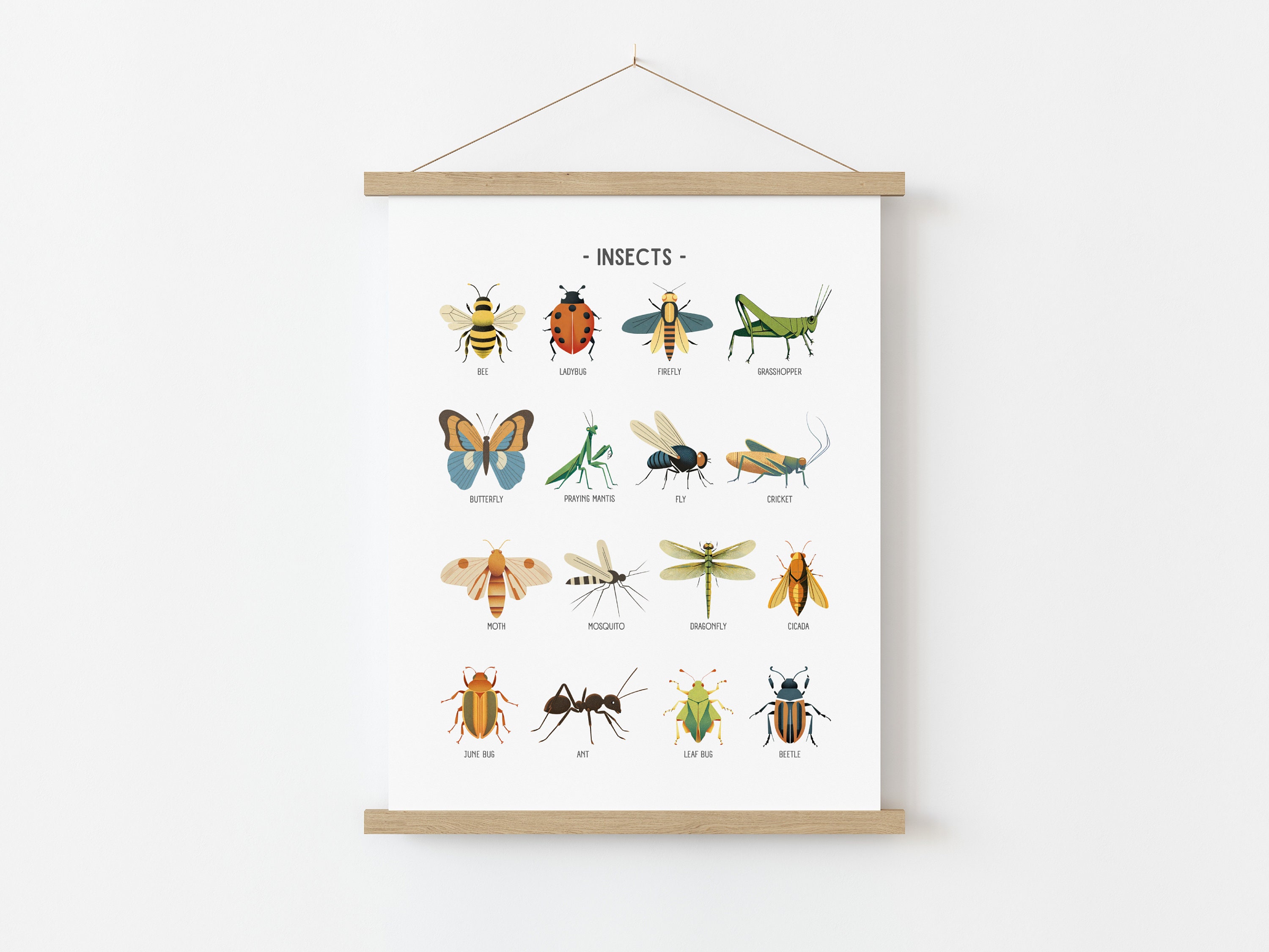 Insects Print, Bugs Poster, Educational Wall Art, Nature Homeschool ...