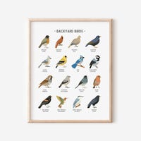 Bird Poster - Etsy