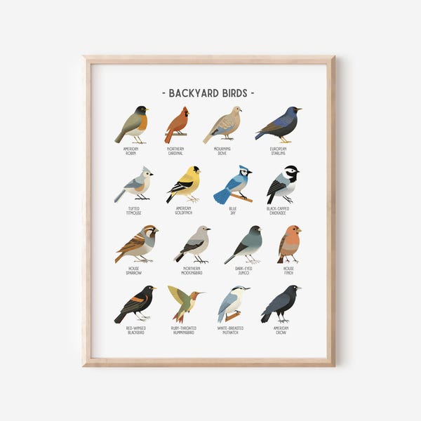 Bird Art Poster - Etsy
