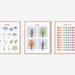 Set of 15 Rainbow Educational Poster Bundle, Toddler Preschool ...