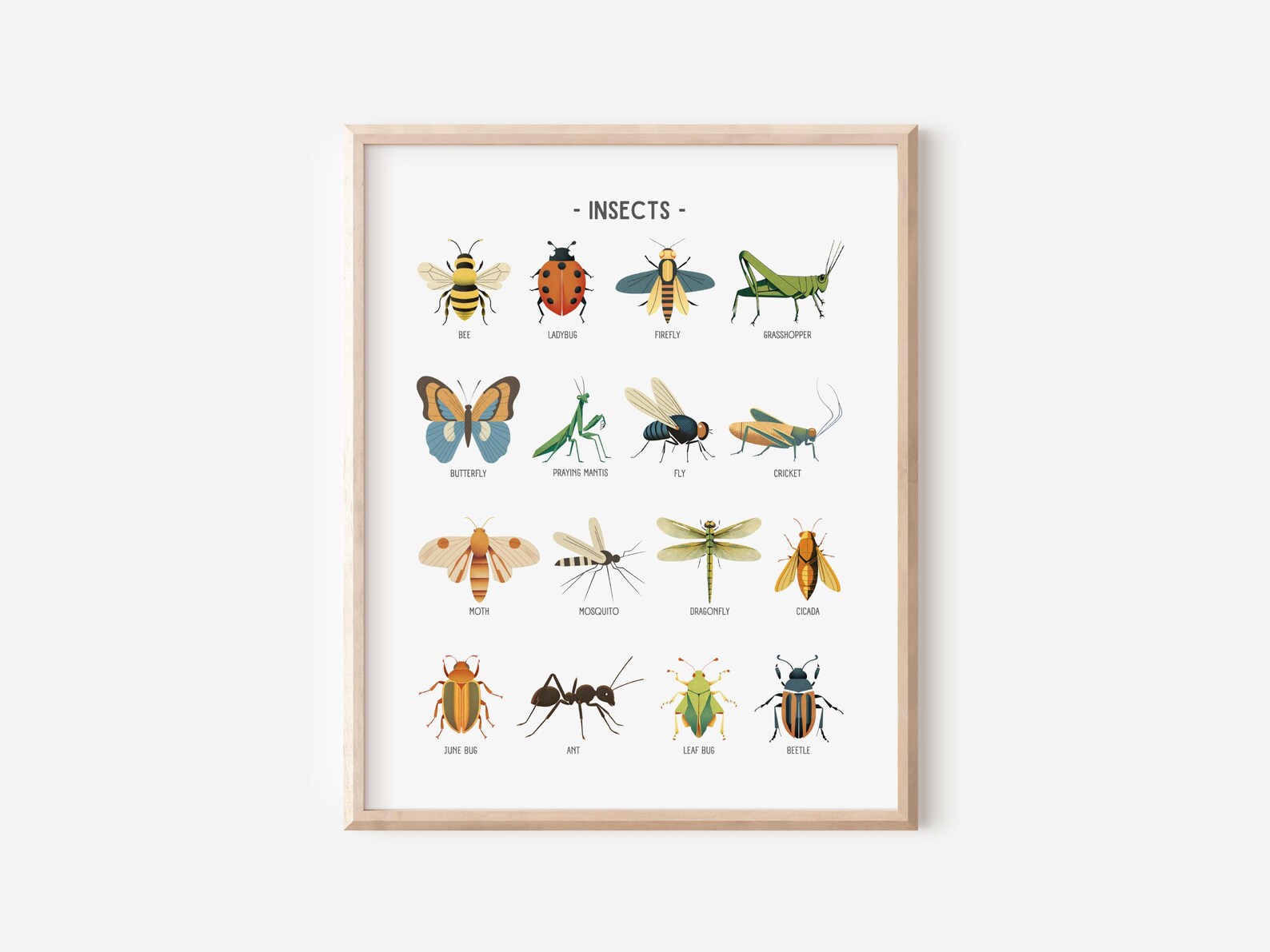 Insects Print, Bugs Poster, Educational Wall Art, Nature Homeschool ...