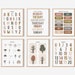 Set of 6 Educational Posters, Neutral ABC Numbers Days Months Weather ...