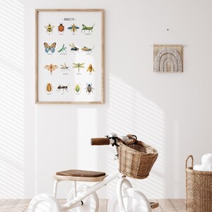 Insects Print, Bugs Poster, Educational Wall Art, Nature Homeschool ...