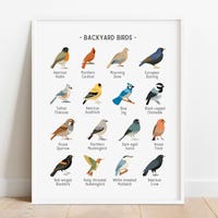 Bird Poster - Etsy