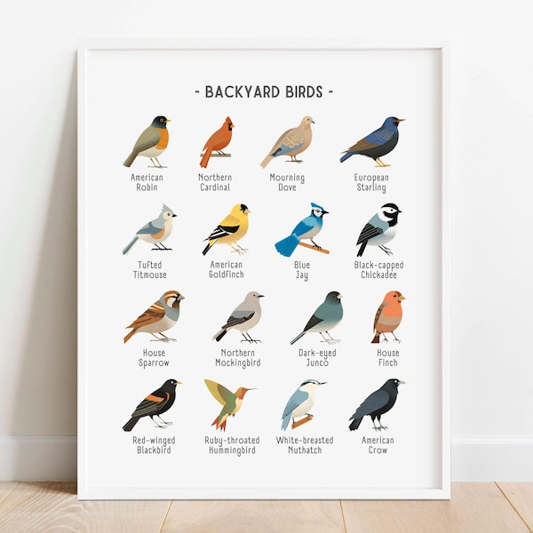 Bird Art Poster - Etsy