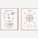 Set of 2 Pastel Geography Educational Posters, Continents Directions ...