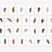 26 Printable Sign Language Alphabet Flashcards, Kids Neutral Learn to ...