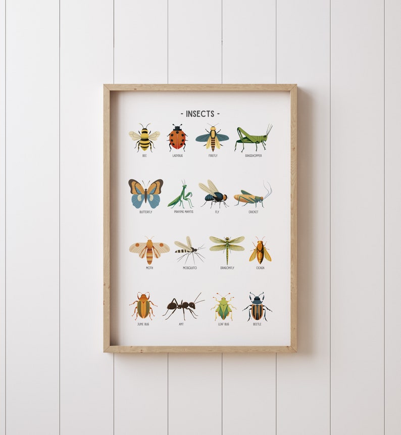 Insects Print, Bugs Poster, Educational Wall Art, Nature Homeschool ...