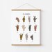 Sign Language Numbers Neutral Print, Learn to Sign ASL Number Poster ...