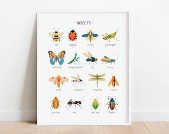 Set of 2 Pastel Geography Educational Posters, Continents Directions ...