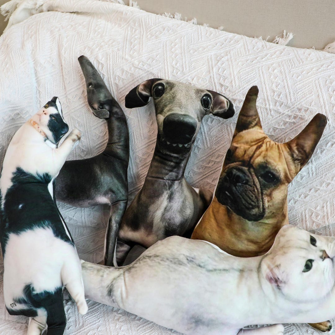 Ugly Pet Pillow, Ugly Cat Pillow, Ugly Dog Pillow, Pet Pillow, 3D Shape ...