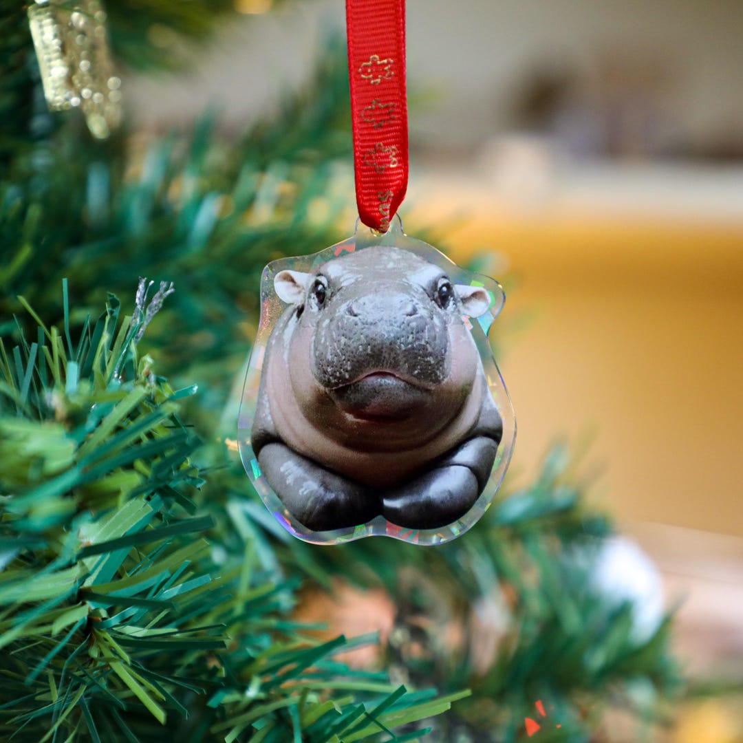 Moo Deng Moo Deng Christmas Ornaments Acrylic Ornaments Laser Effect ...