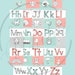 Alphabet Posters - Tracing Posters - Letter Formation - Etsy
