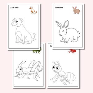 Animal Coloring Pages: 40 Kids Activity Sheets (PDF) - Etsy