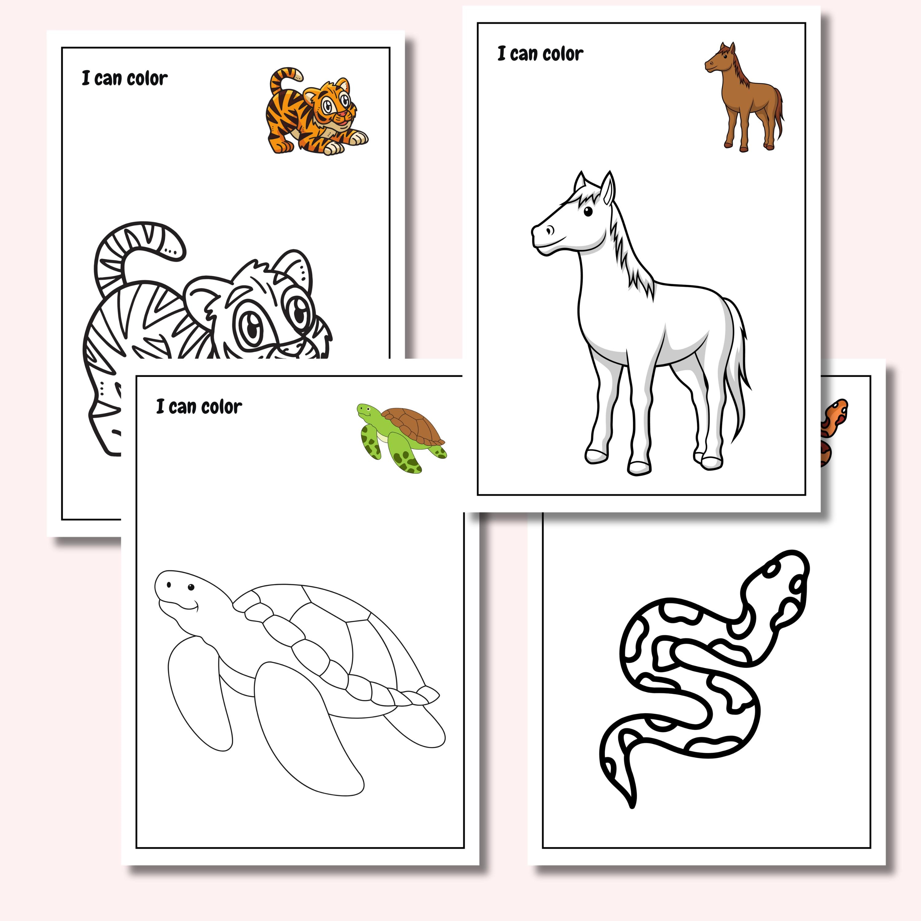 Animal Coloring Pages: 40 Kids Activity Sheets (PDF) - Etsy