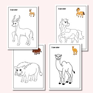 Animal Coloring Pages: 40 Kids Activity Sheets (PDF) - Etsy