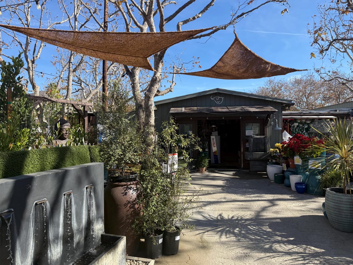 Triangle Coconut Shade Canopy - 11.5ft X 11.5ft X 11.5ft - Etsy