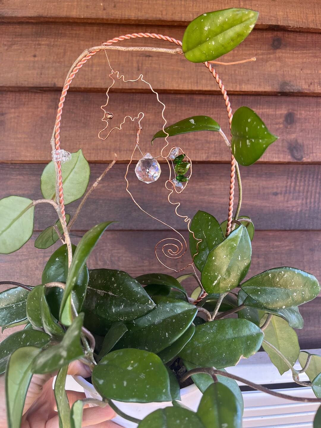 Twisted Copper Seahorse Trellis Hoya Trellis Gemstone Trellis Plant ...