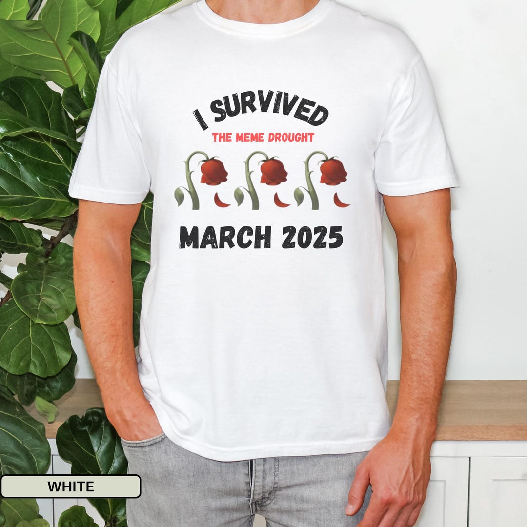 Instagram Reels Shirt,meme Shirt,funny Shirt Gift,meme Culture,meme ...