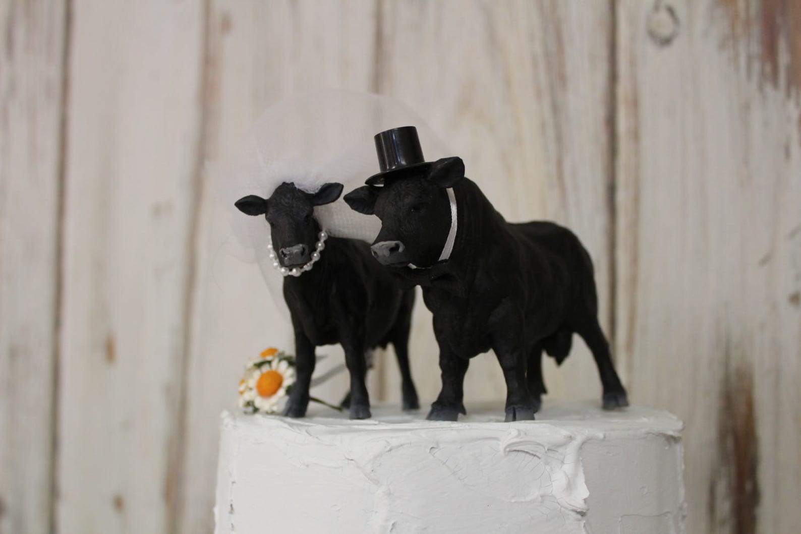 Cow Cake Topper-family-black Angus Cows-barn Wedding Cake Topper-animal ...