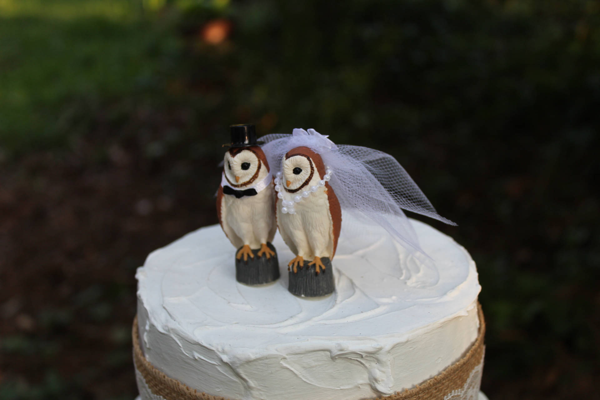 Owl Wedding Cake Topper, Bride and Groom, Barn Wedding, Bird Cake ...