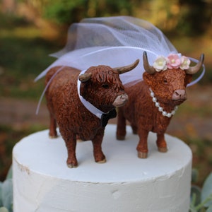 Highland Cow-bull-wedding-cake Topper-bride-groom-farm-farmhouse-animal ...